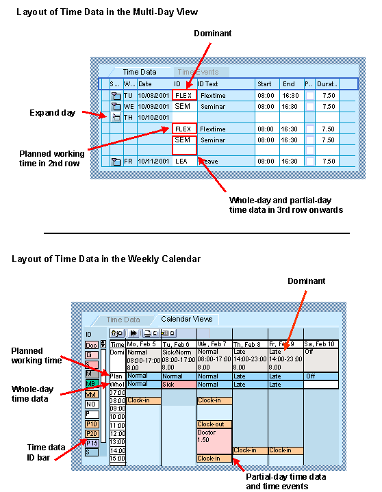 SAP/Gestión y evaluación de tiempos - Time Manager Workplace